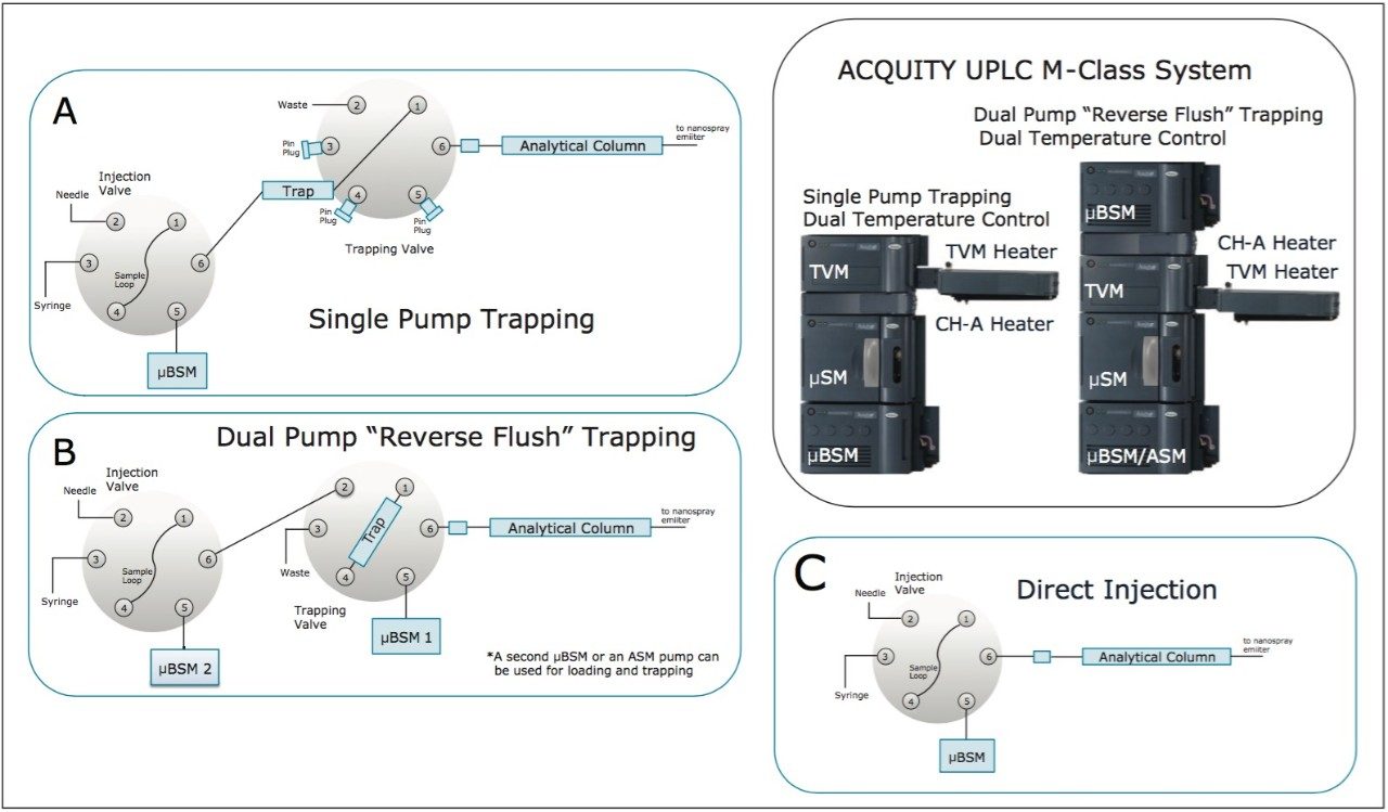 Optimizing Peak Capacity in Nanoscale Trap-Elute Peptide Separations ...