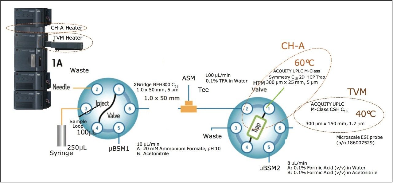 Advancing Host Cell Protein Analyses Through the Combined Use of ...
