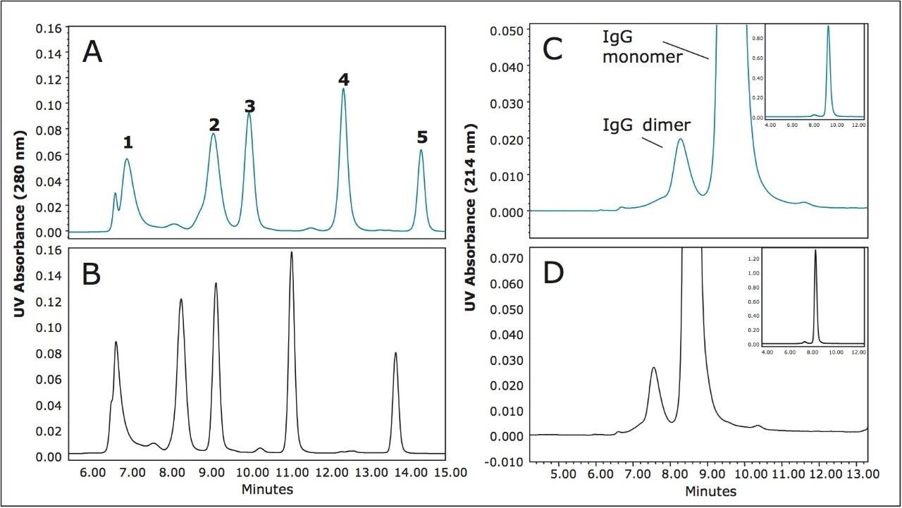 Advanced HPLC Size-Exclusion Chromatography for the Analysis of ...