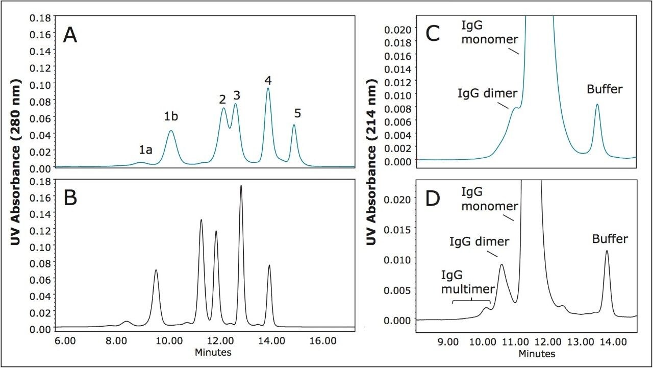 Advanced HPLC Size-Exclusion Chromatography for the Analysis of Macromolecular Proteins Using 3. ...