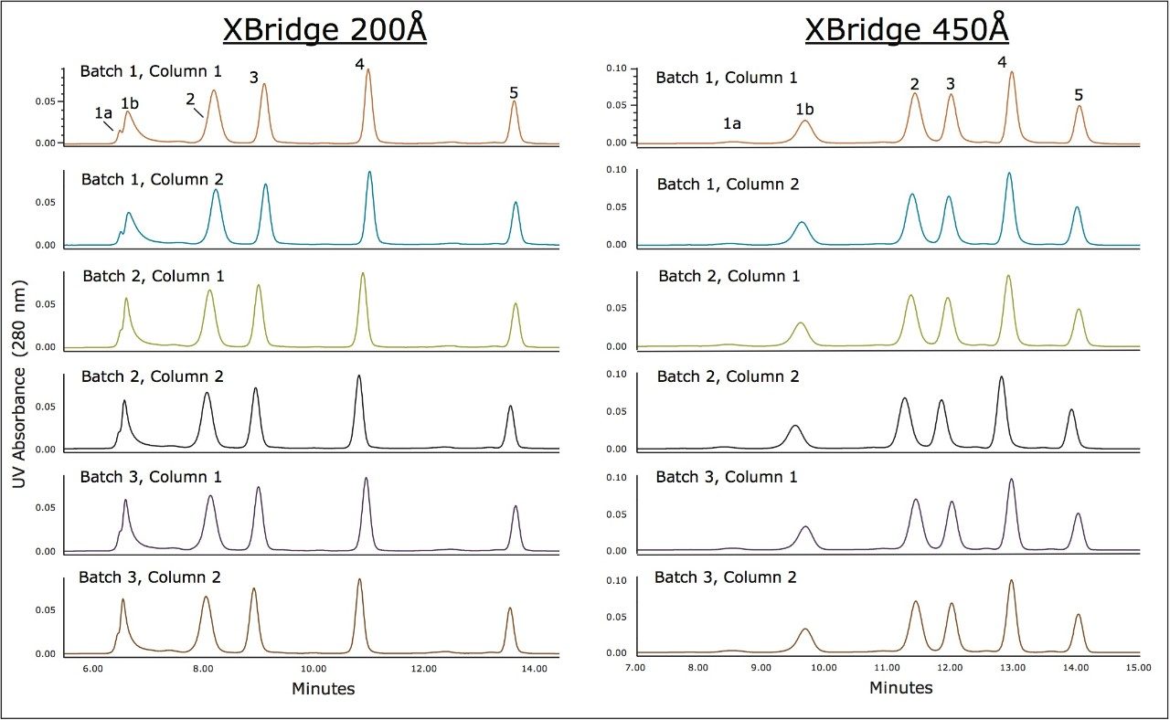 Advanced HPLC Size-Exclusion Chromatography for the Analysis of Macromolecular Proteins Using 3. ...
