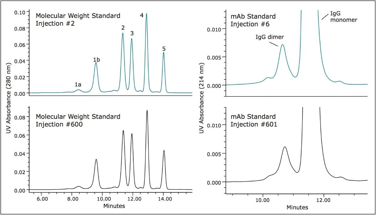 Advanced HPLC Size-Exclusion Chromatography for the Analysis of ...