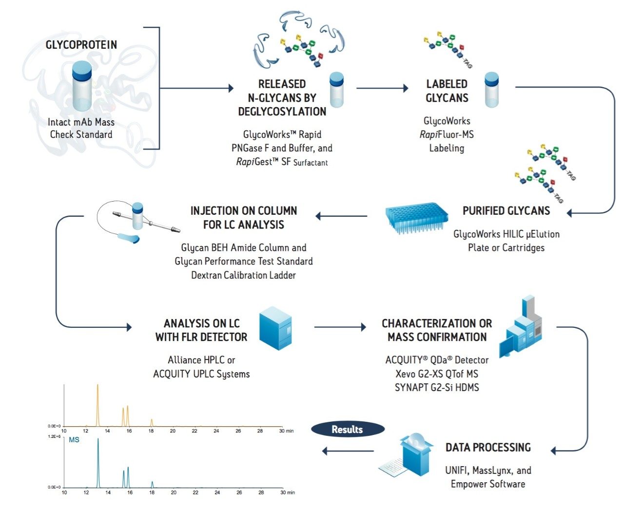 Rapid Preparation of Released N-Glycans for HILIC Analysis Using a Novel Fluorescence and MS ...