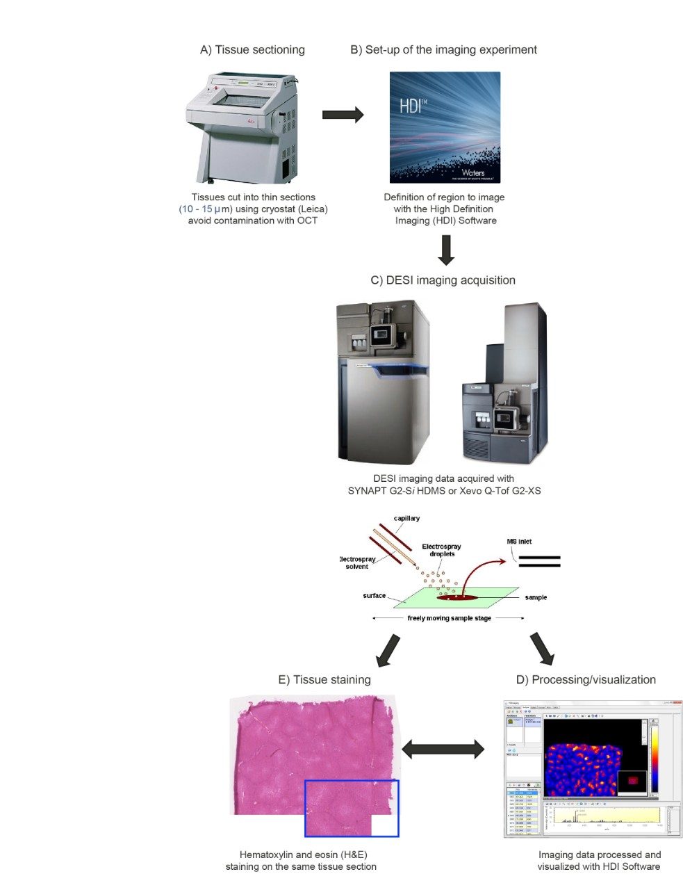 Utility of Desorption Electrospray Ionization (DESI) for Mass ...