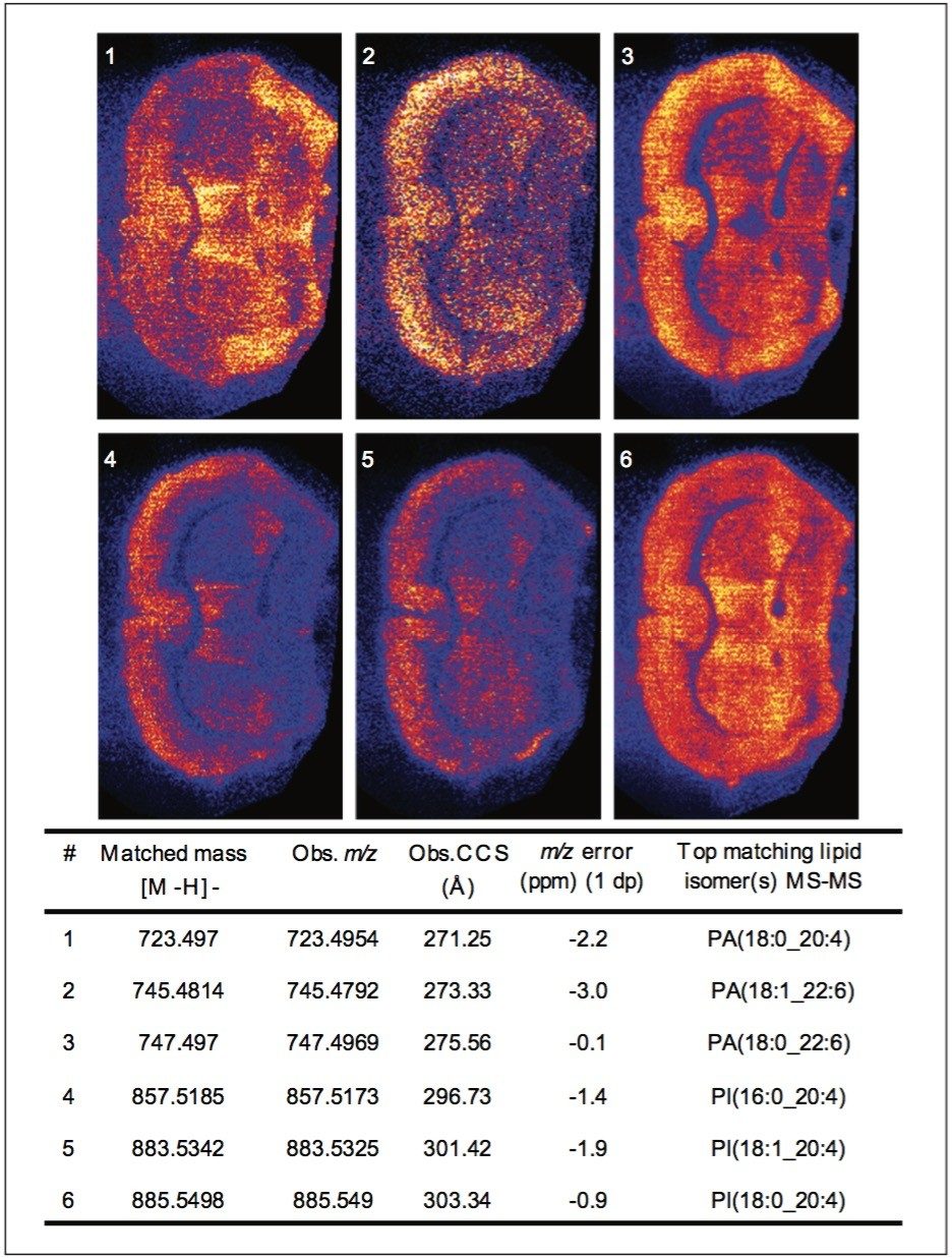 Lipid Visualization and Identification Through Collisional Cross ...