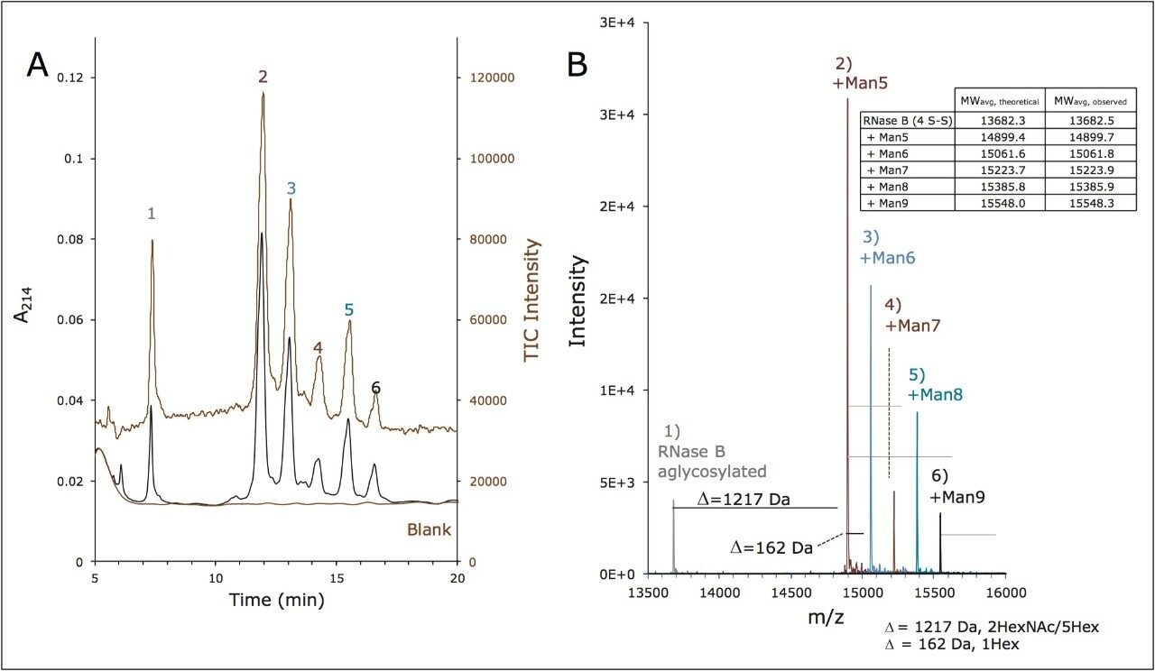Developing High Resolution HILIC Separations of Intact Glycosylated ...