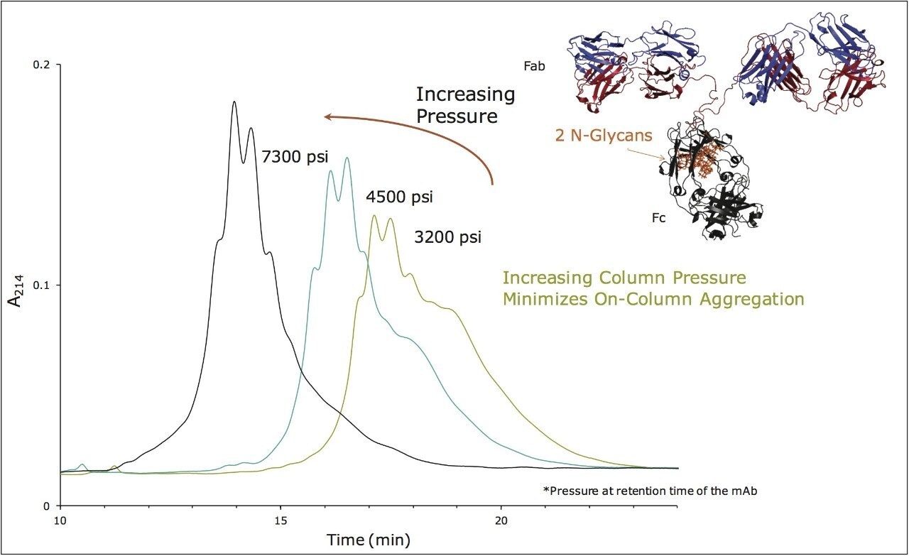 Developing High Resolution HILIC Separations of Intact Glycosylated Proteins Using a Wide-Pore ...