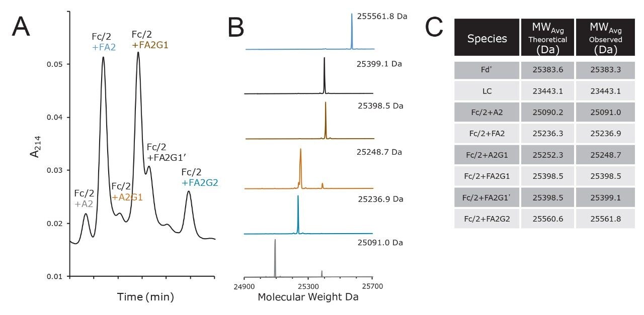 Mapping IgG Subunit Glycoforms Using HILIC and a Wide-Pore Amide ...