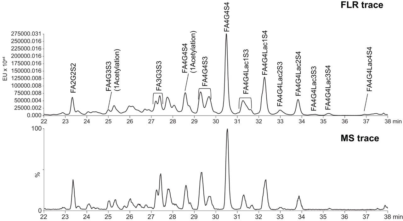Characterization of EPO N-Glycans using RapiFluor-MS and HILIC Profiling | Waters