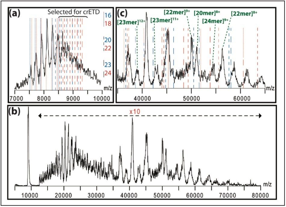 Charge Reduction Electron Transfer Dissociation (crETD) and Ion ...