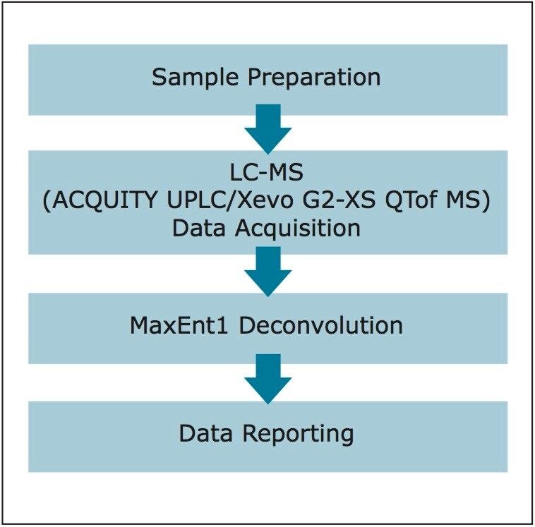 Routine LC-MS Analysis of Intact Antibodies | Waters