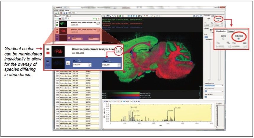 High Definition Imaging Software: Enhanced Visualization and Overlay of ...