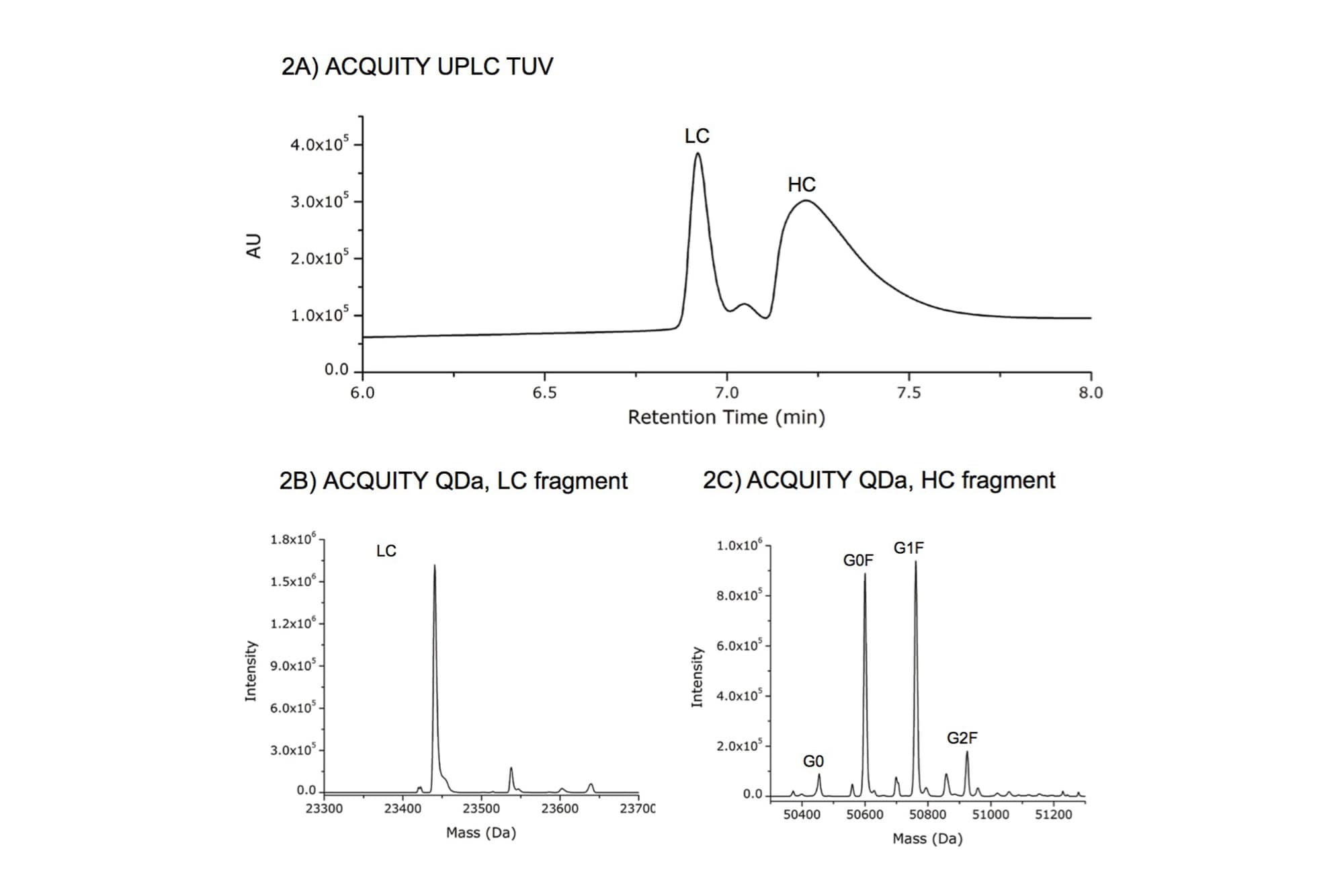 Process Monitoring Of Monoclonal Antibody Subunits For Fast Critical Quality Attribute 