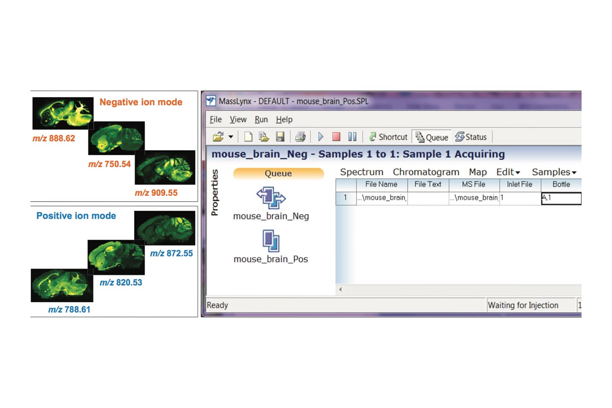 An Improved Workflow for DESI Imaging Mass Spectrometry Incorporating ...