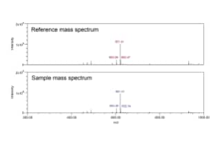 Automated 2-Dimensional Fingerprint Analysis for Routine Botanical ...