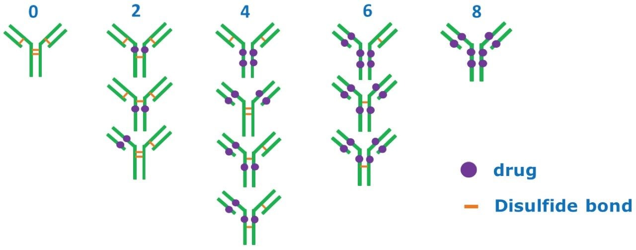 Analytical Scale Native SEC-MS for Antibody-Drug Conjugates (ADCs ...