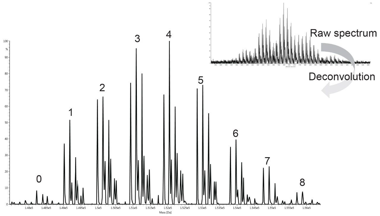 Analytical Scale Native SEC-MS for Antibody-Drug Conjugates (ADCs ...