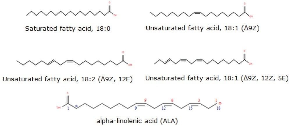 LipidQuan: HILIC-based LC-MS/MS High-Throughput Targeted Free Fatty ...