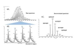 Enabling Routine and Reproducible Intact Mass Analysis When Data ...