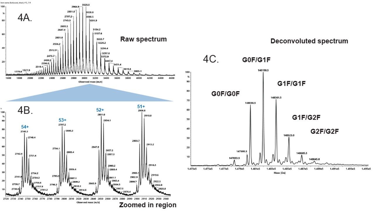 Enabling Routine And Reproducible Intact Mass Analysis When Data
