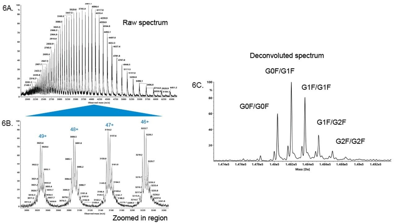 Enabling Routine and Reproducible Intact Mass Analysis When Data Integrity Matters | Waters