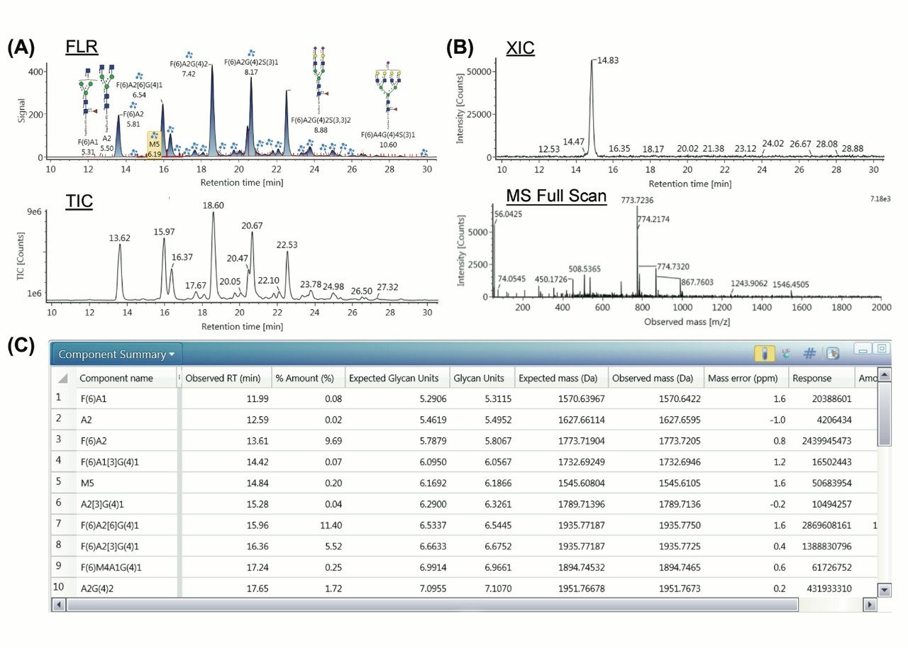 Released N-linked Glycan Analysis Using the BioAccord System | Waters