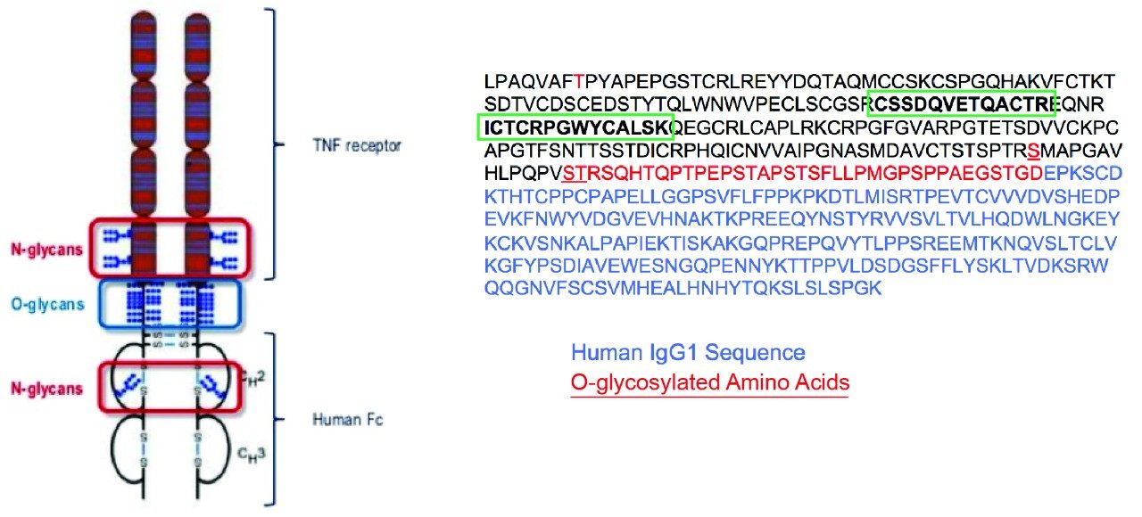 Automating Sample Preparation Workflows for Hybrid LC-MS/MS Bioanalysis ... Automating Sample Preparation Workflows for Hybrid LC-MS/MS Bioanalysis ...