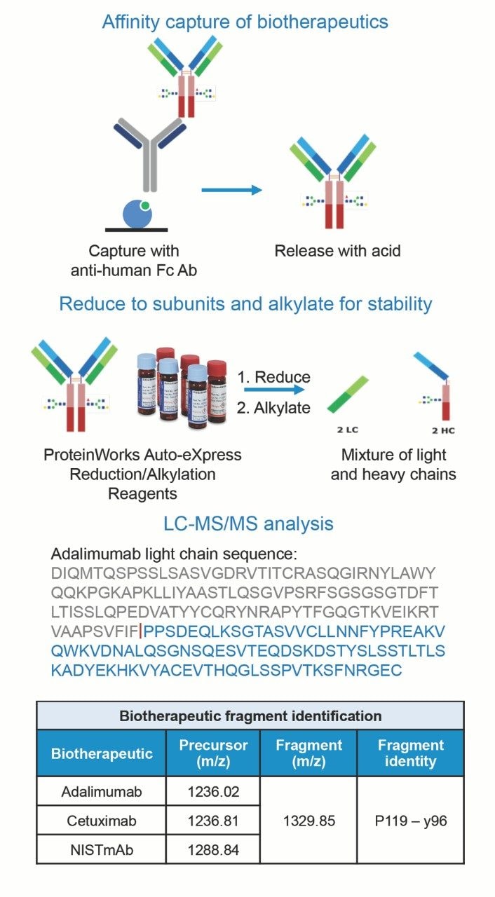 Tackling Non-Specific Binding of Biotherapeutics Using LC-MS Compatible ...