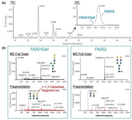 Increasing Productivity and Confidence for N-linked Glycan Analysis of ...