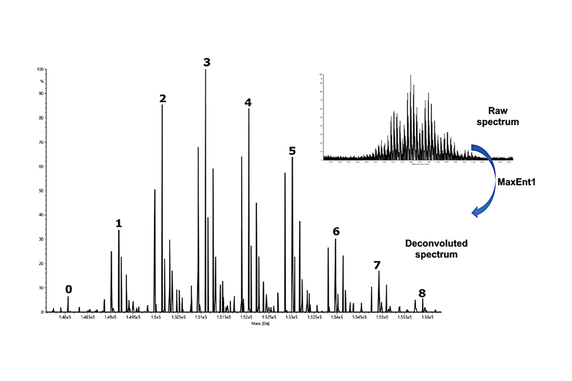 Analysis of Antibody Drug Conjugates (ADCs) by Native Mass Spectrometry ...