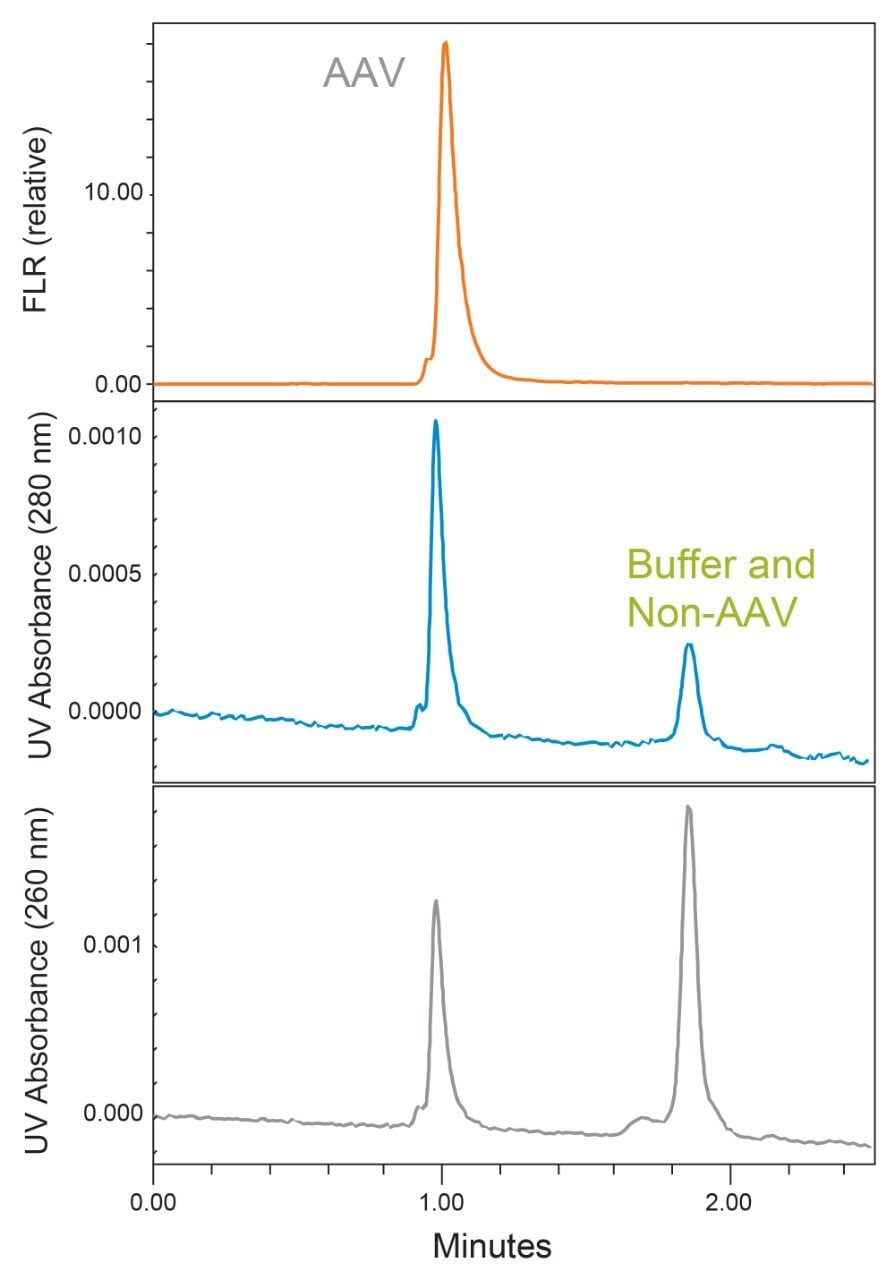 Rapid AAV Concentration Determination Using Size-Exclusion ...