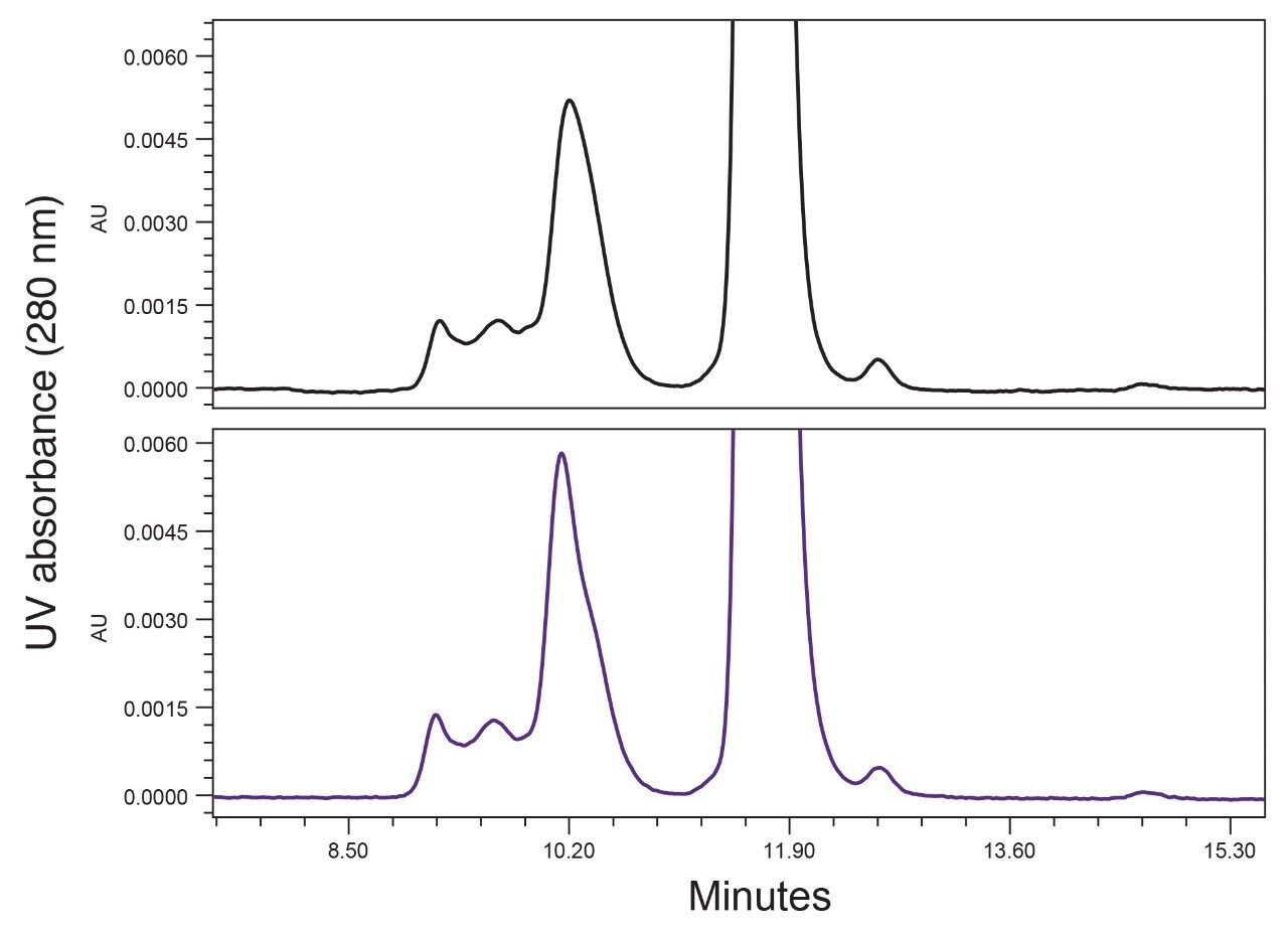 BioResolve SEC mAb Guard Columns for Production Process and Formulation ...