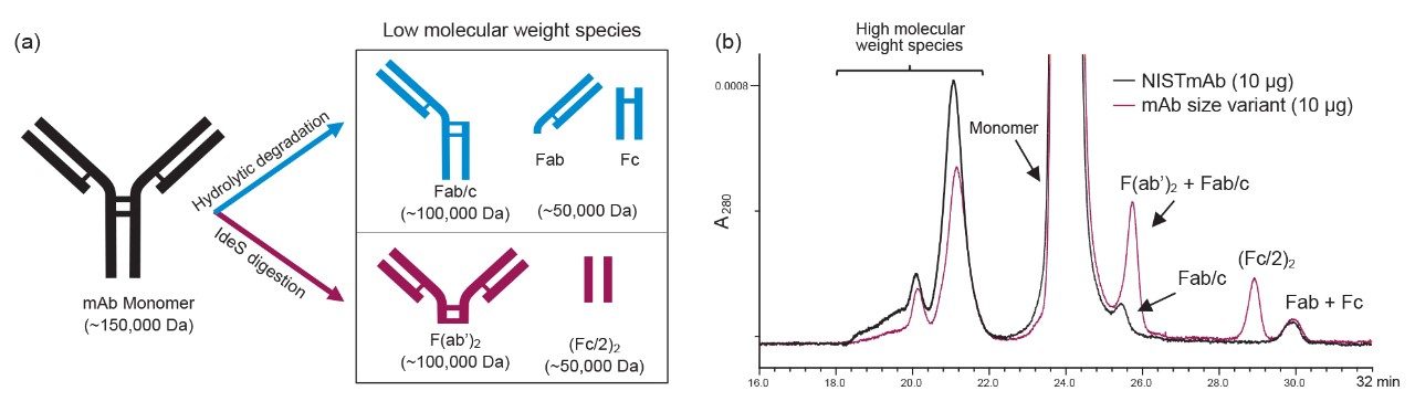 High Resolution Size-Exclusion Chromatography Separations of mAb ...