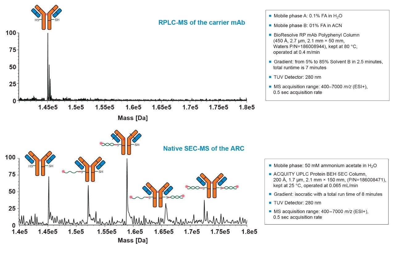 Analysis of Antibody siRNA Conjugate Using BioAccord System | Waters