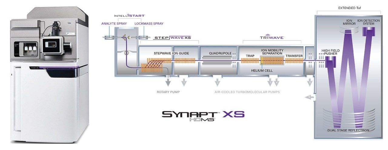 mAb Subunit Analysis Using the SYNAPT XS High Resolution Mass ...