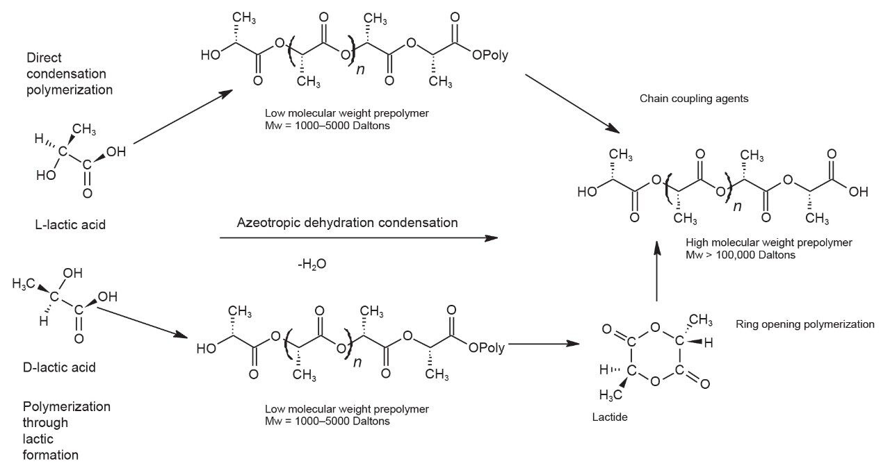 SEC/GPC, DSC, and TGA Analysis of Low Molecular Weight Poly-L-lactic ...
