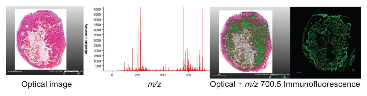 Aiding the Exploration of Multiple-Sample Imaging Experiments by ...