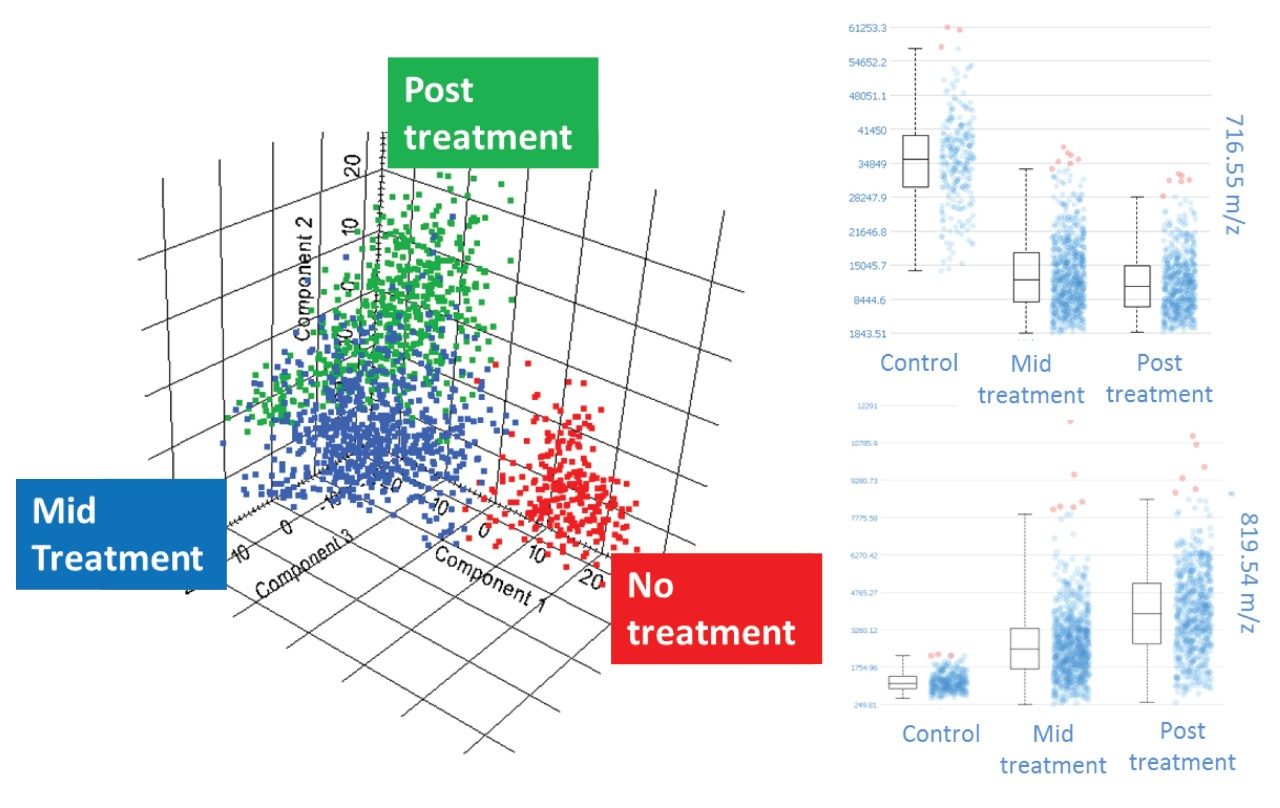 Aiding the Exploration of Multiple-Sample Imaging Experiments by ...