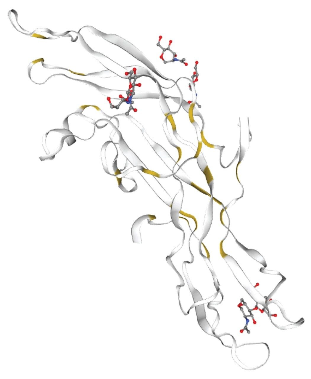 Automated RapiFluor-MS Labeled Glycan Sample Preparation for Disulfide ...