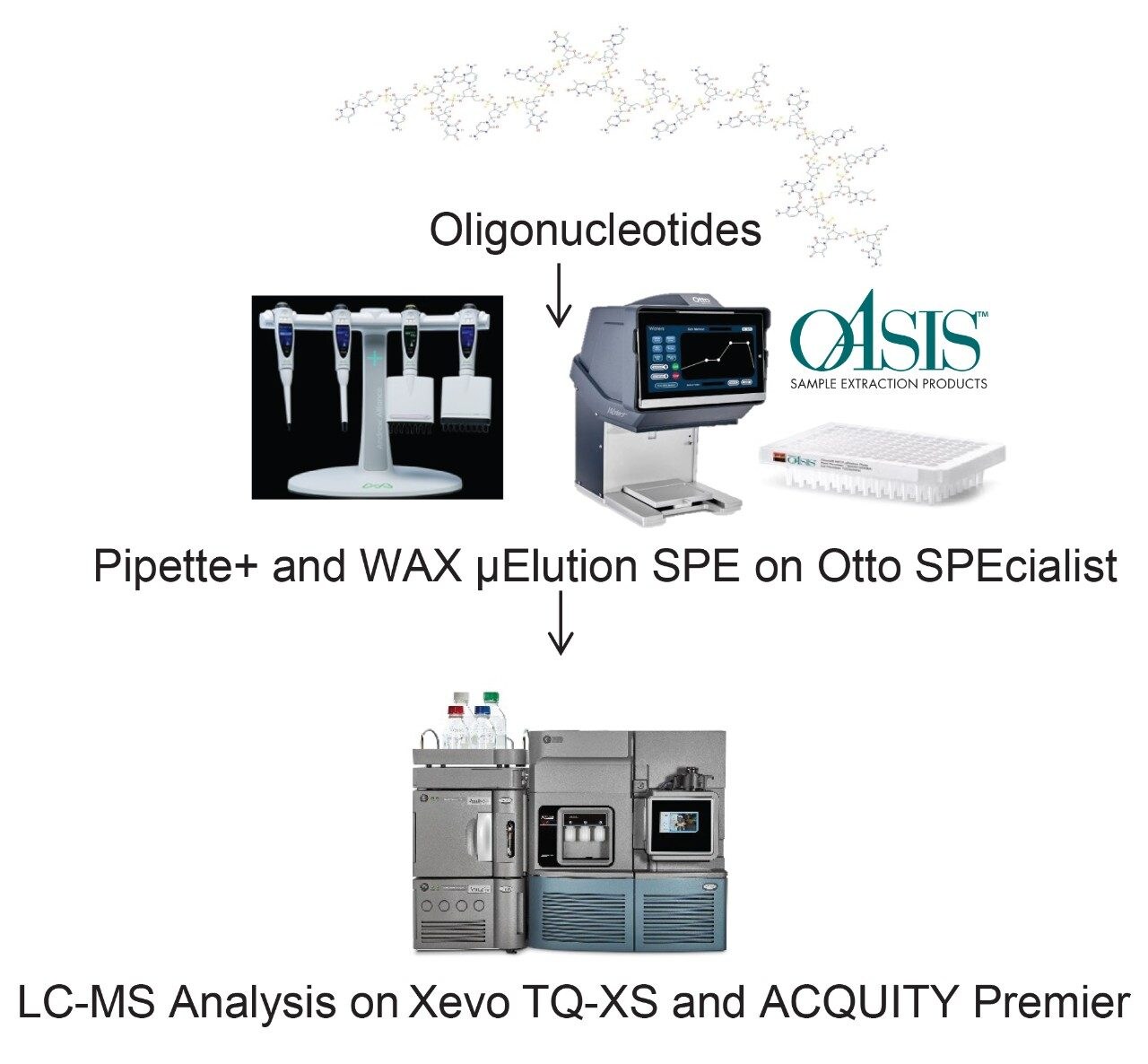 LC-MS Bioanalytical Quantification of a GalNAc-siRNA Conjugate ...