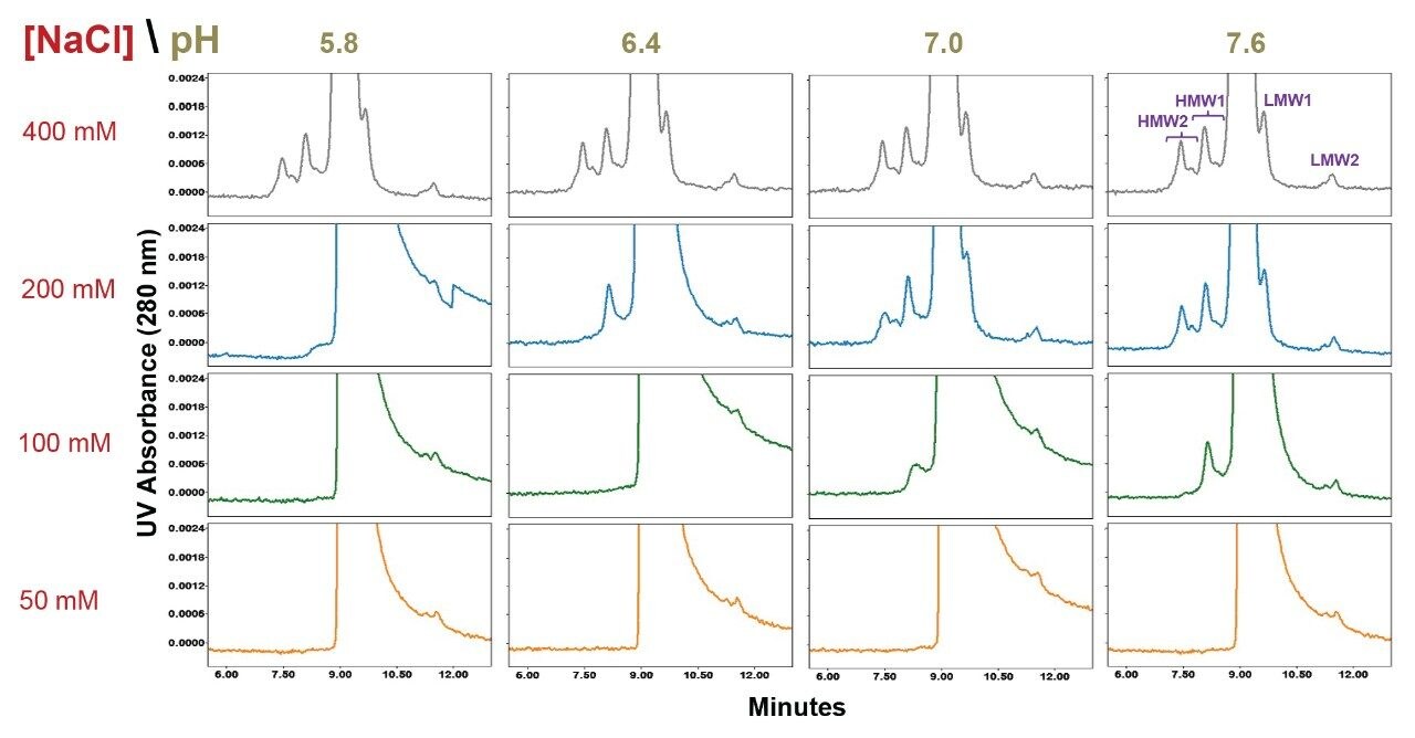 Expanding Size-Exclusion Chromatography Platform Method Versatility for ...