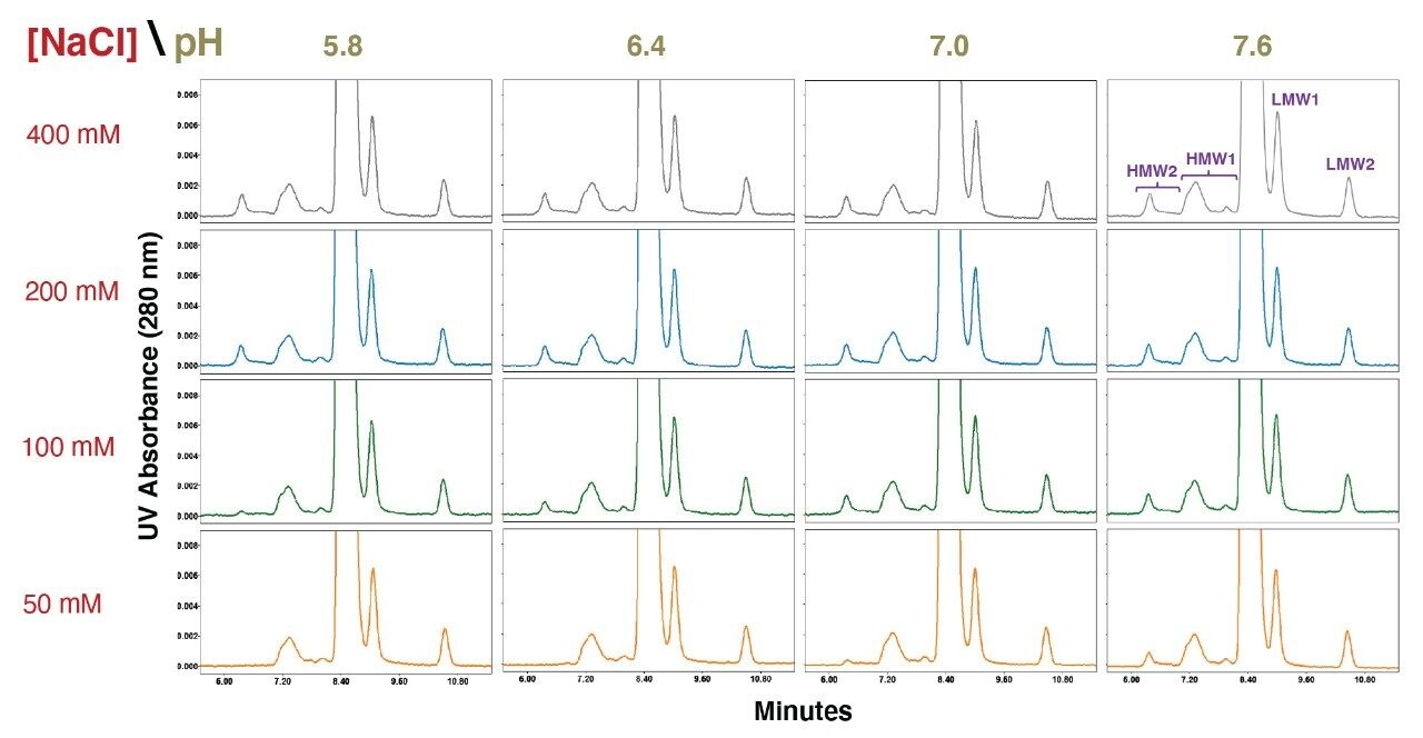 Expanding Size-Exclusion Chromatography Platform Method Versatility for ...