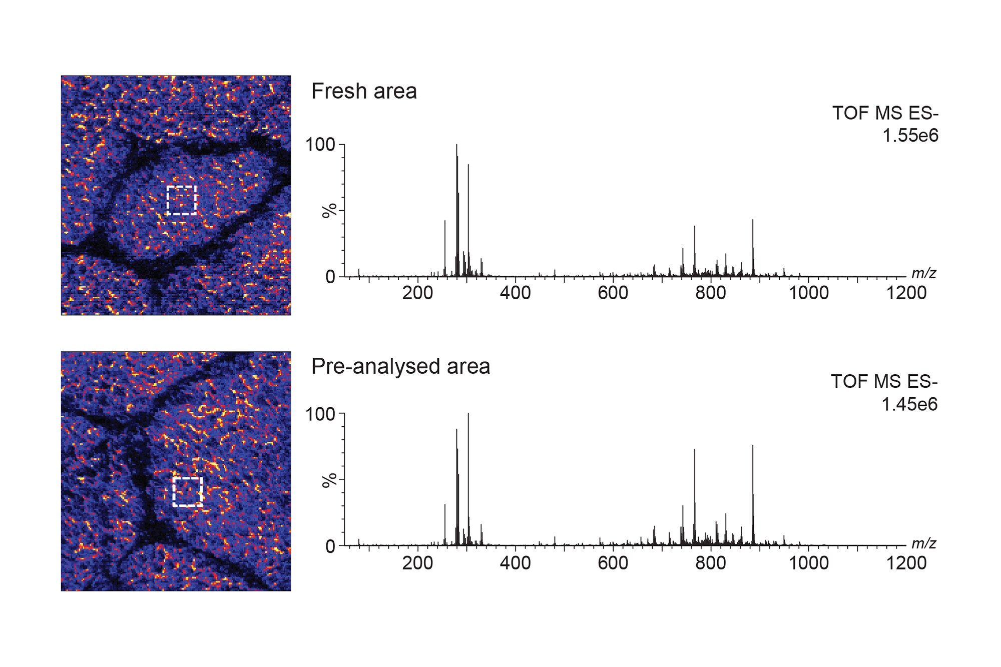 Pushing the Boundaries of DESI Imaging With High Spatial Resolution ...