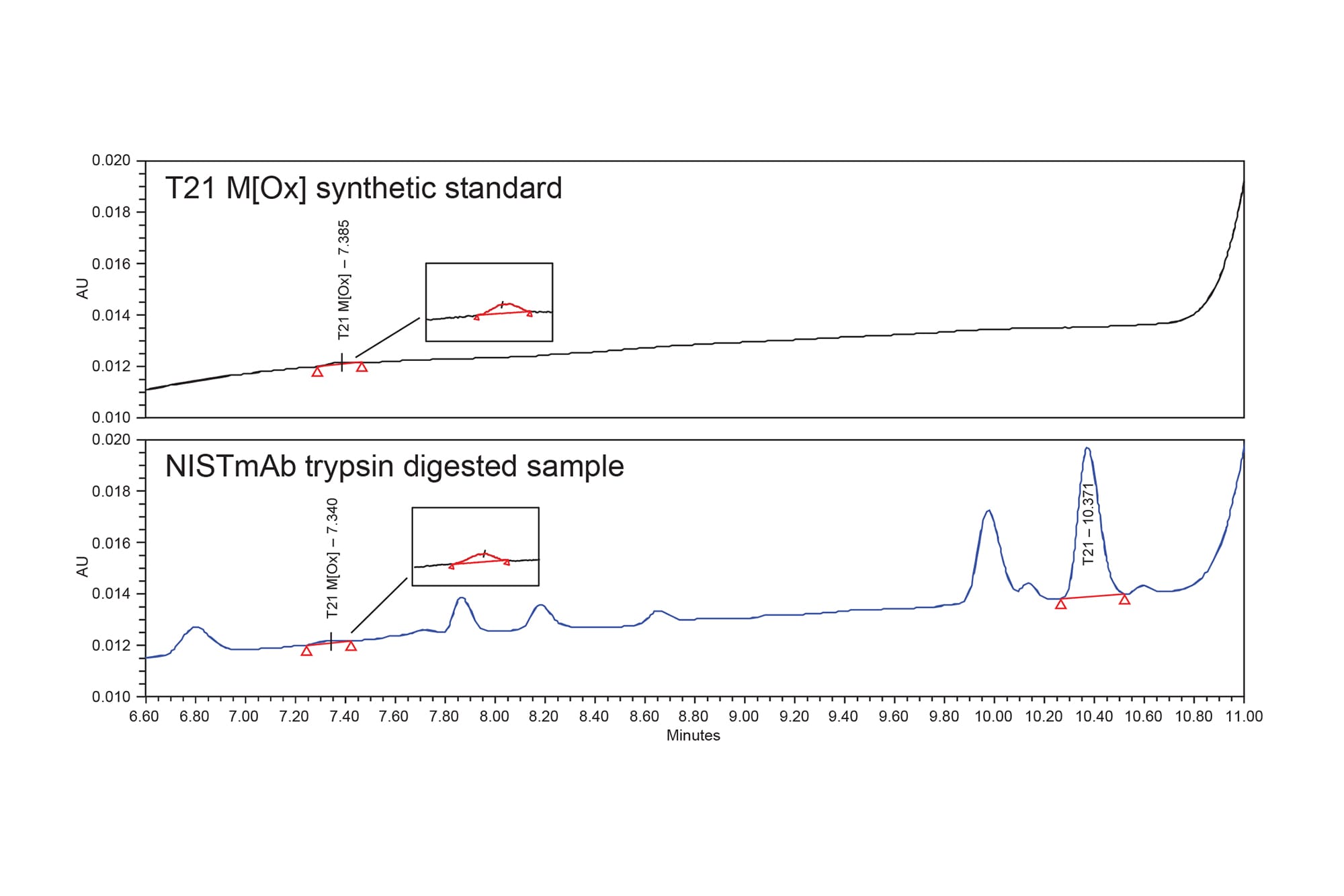 Monitoring Impurities Using A High Throughput Focused Gradient With The 6093
