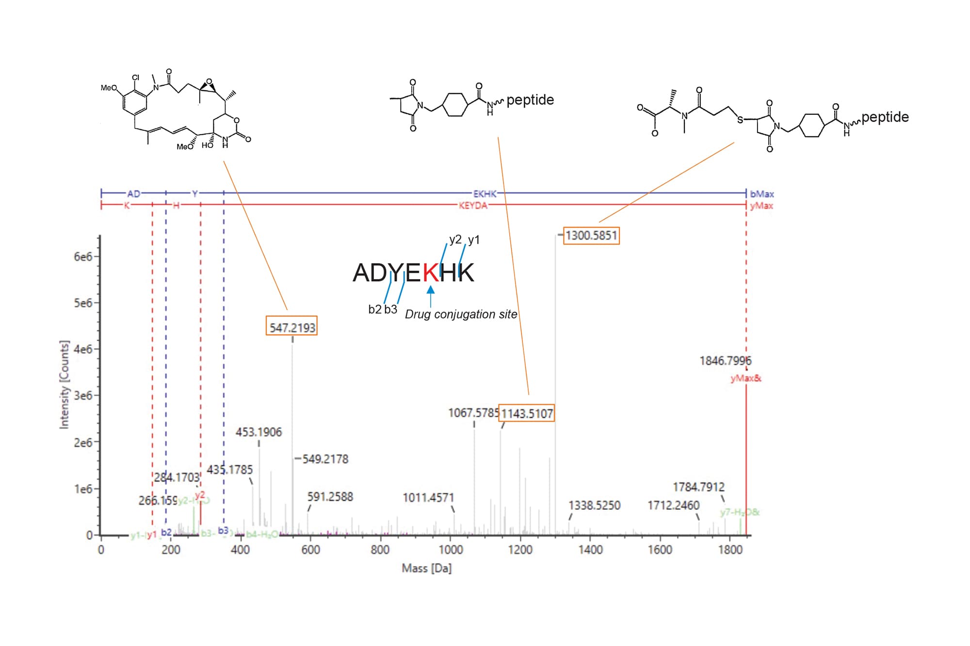 Peptide Mapping of an Antibody-Drug Conjugate Using PeptideWorks Tryptic Protein Digestion Kit ...