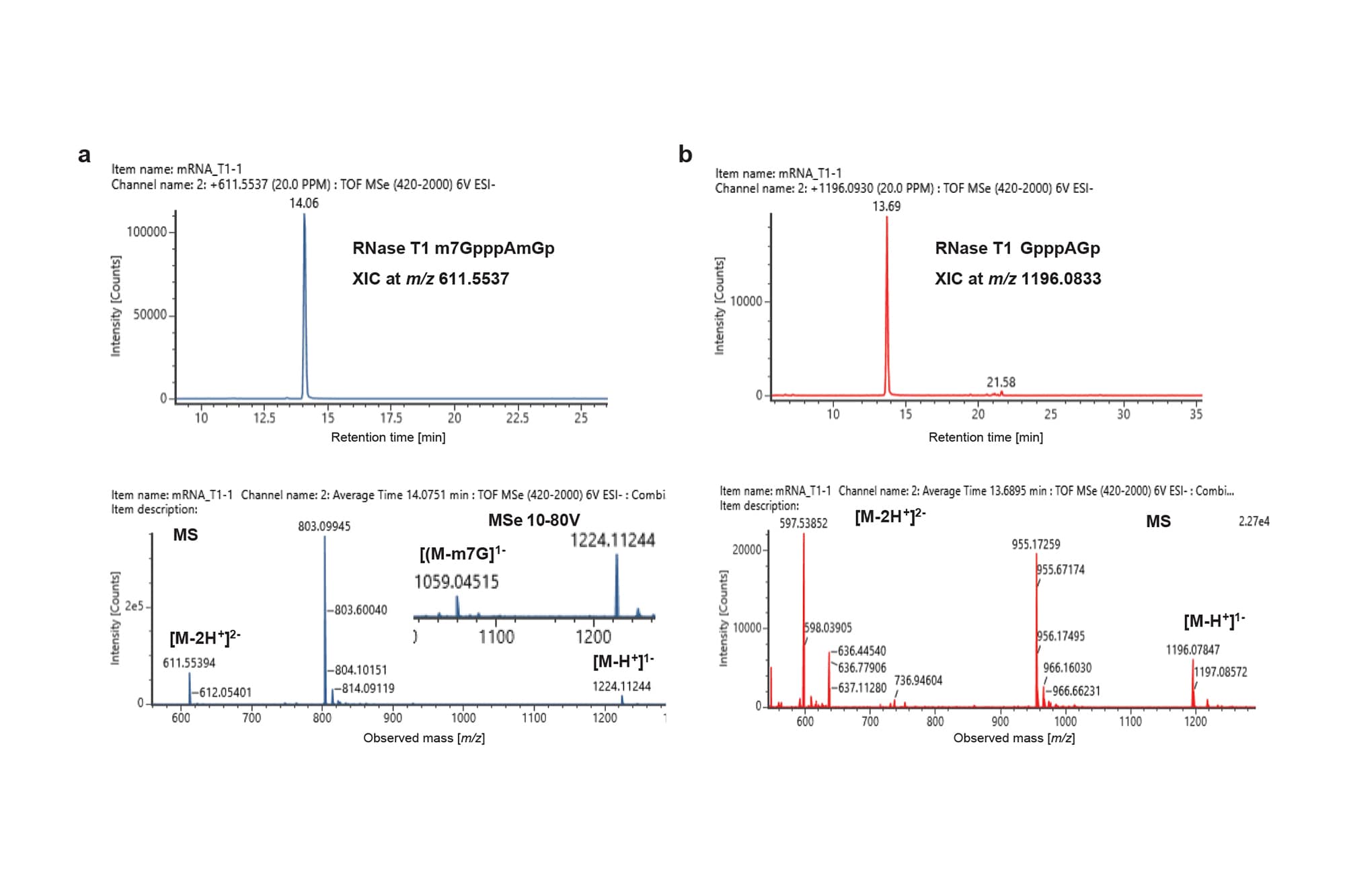 Analysis of mRNA Cap Impurity Profiles and Capping Efficiency Using RapiZyme™ MC1 Ribonuclease ...
