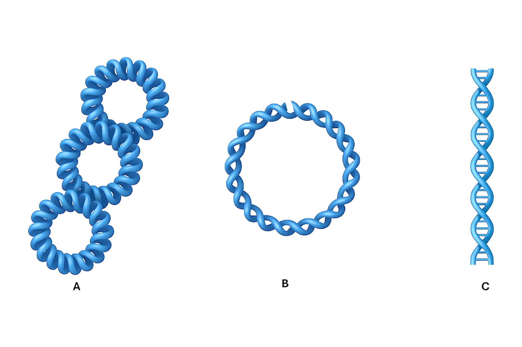 Slalom-Aided Anion Exchange Chromatography for Enhanced Analysis of ...