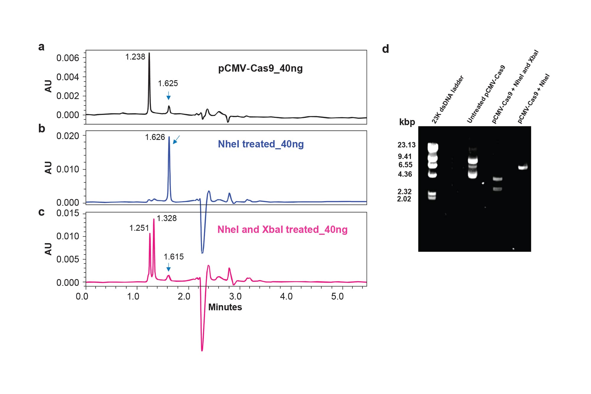 Plasmid Topology and Digest Analysis Using a GTxResolve™ 250 Å Slalom ...