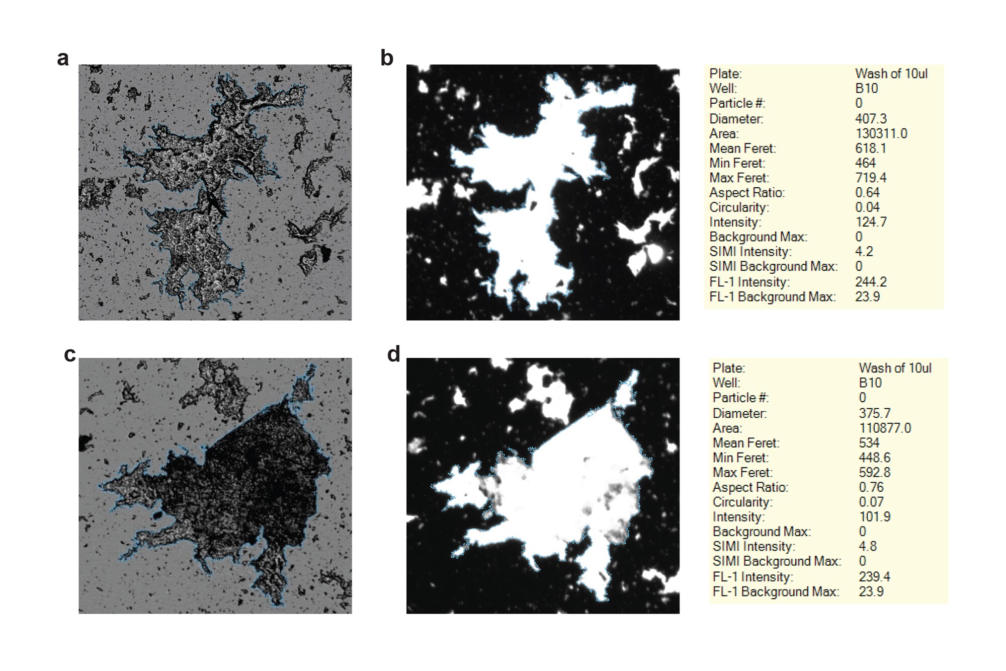 Identify and Characterize Particles in the Visible Size Range with Aura ...