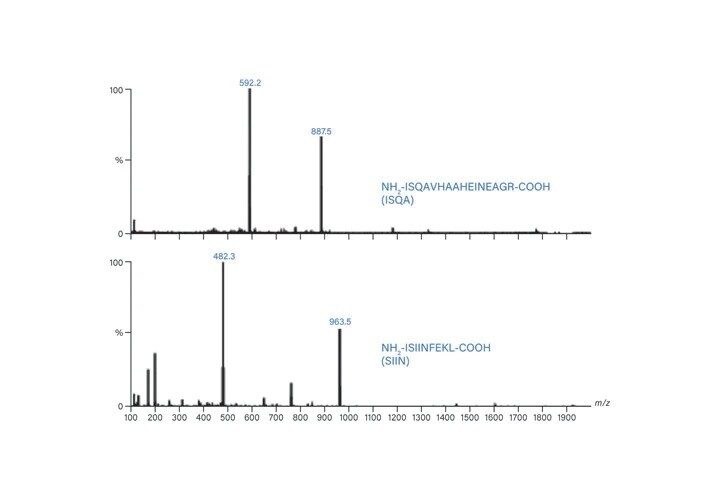 Peptide Isolation – Considerations for Mass-Directed Purification | Waters